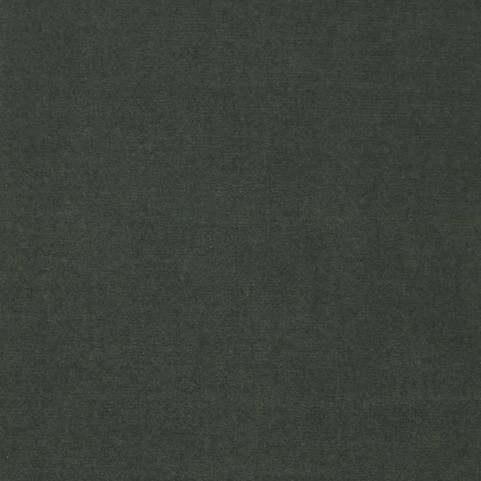 Cotton Velvet Agave Fabric – Fritz Porter