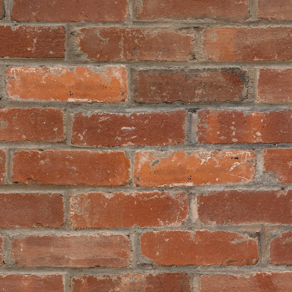Brick Wallpaper – Fritz Porter