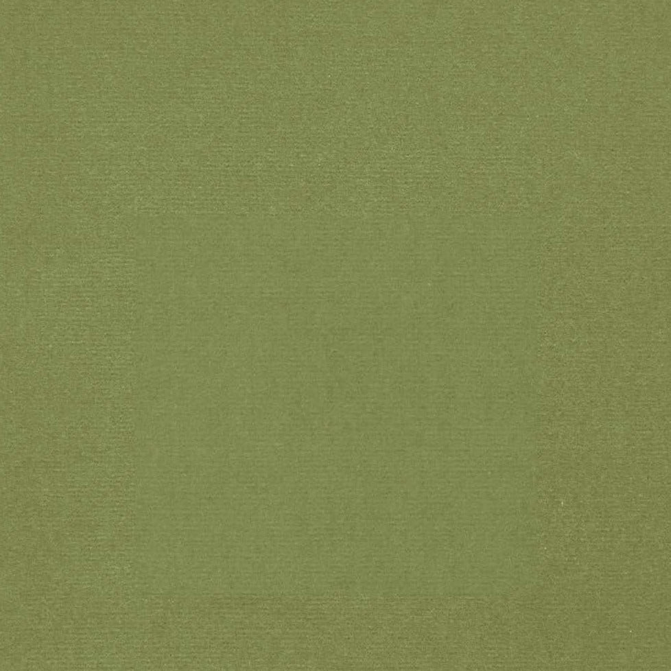 Cotton Velvet Fern Fabric – Fritz Porter