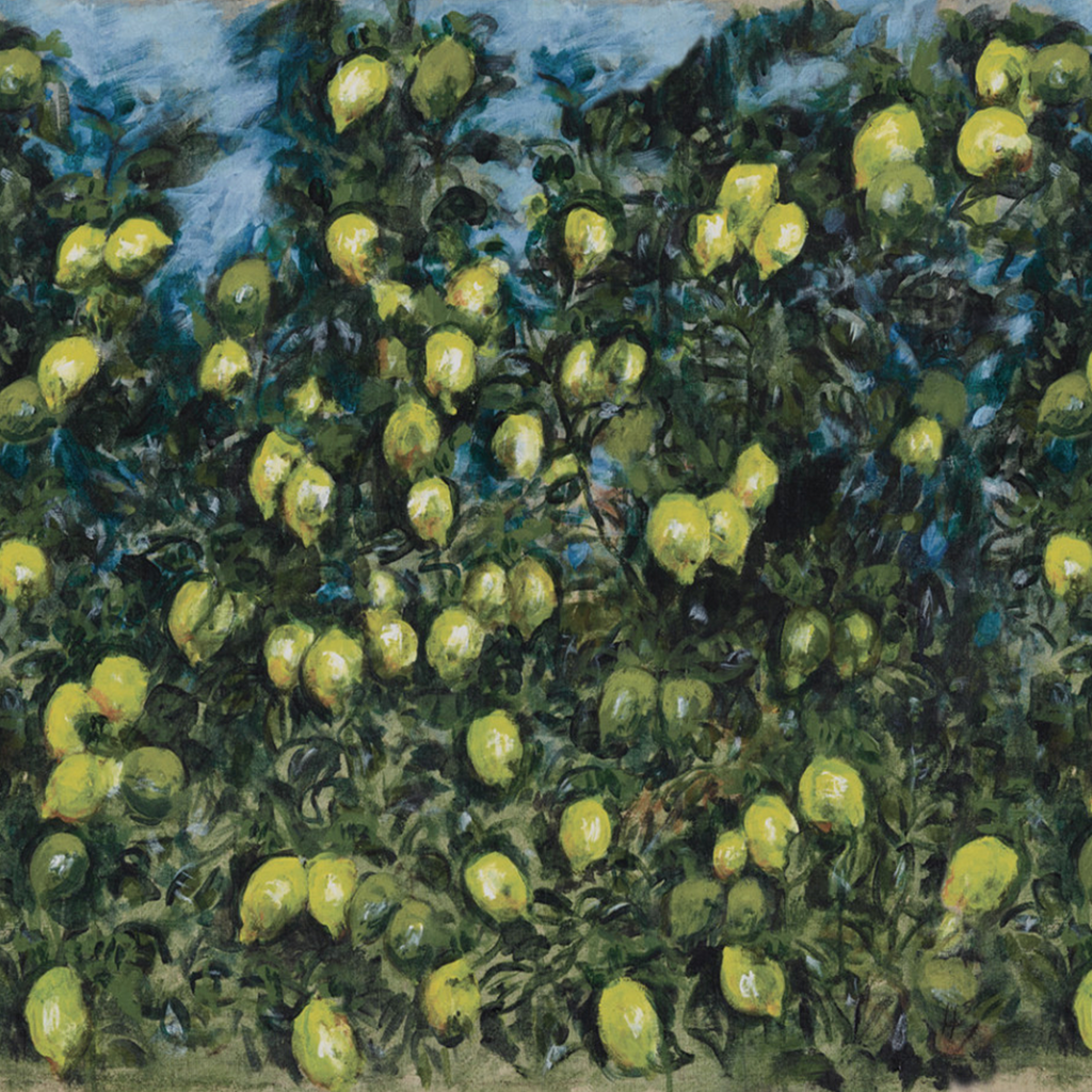 Limones Panoramic Wallpaper – Fritz Porter