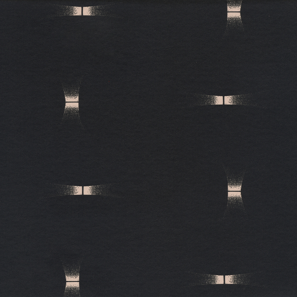 Swallowtail Off-Black Wallpaper – Fritz Porter