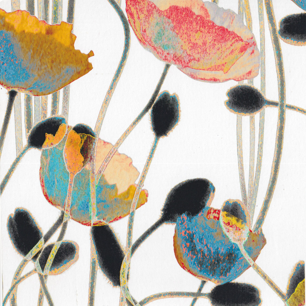 Poppies Summer Wallpaper – Fritz Porter