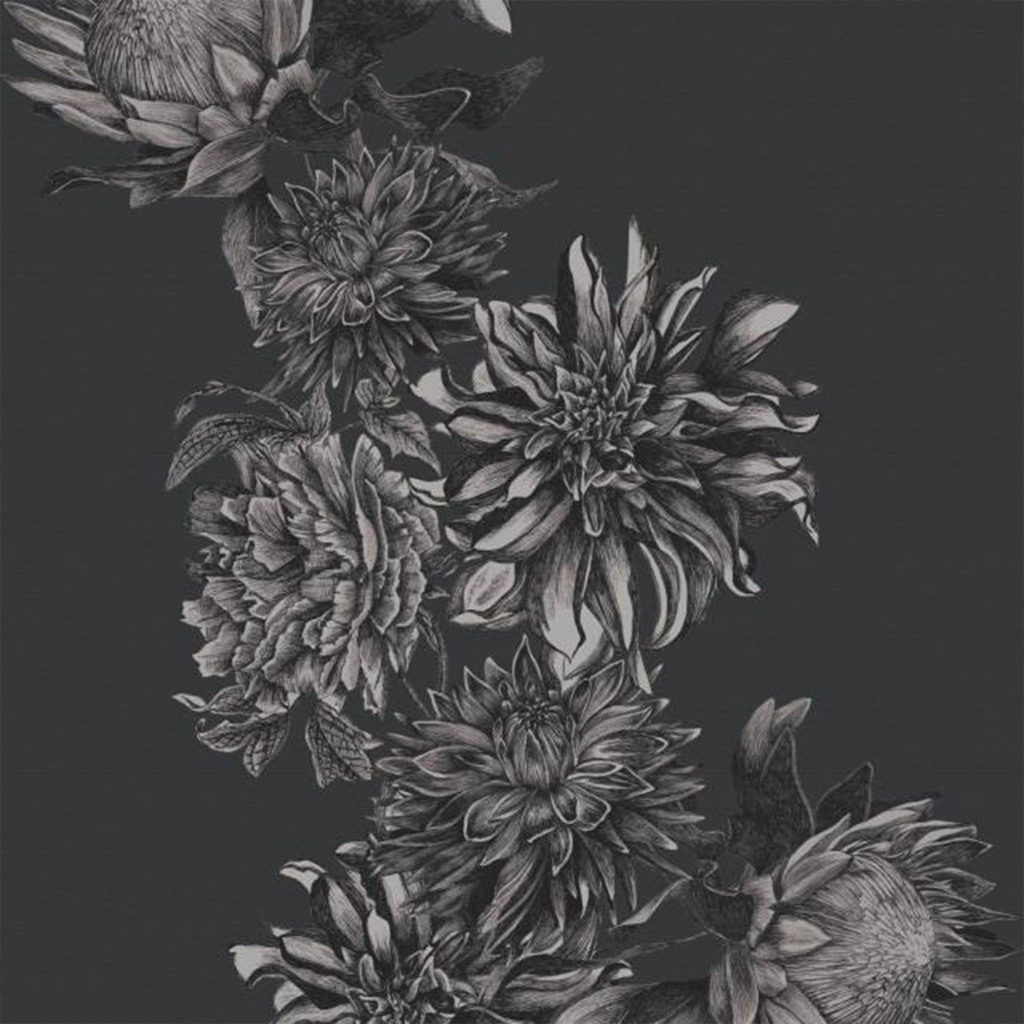 Dahling Charcoal Wallpaper – Fritz Porter